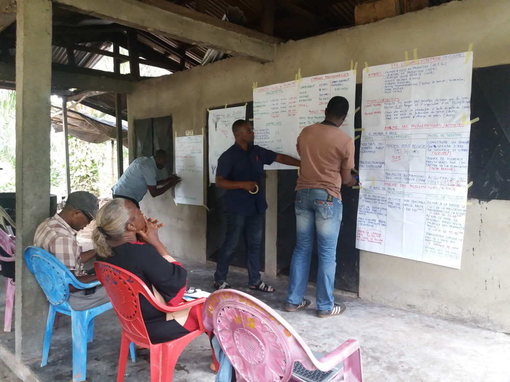 Nos domaines d’intervention à l'international